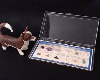 Nature Display Case - Etsy