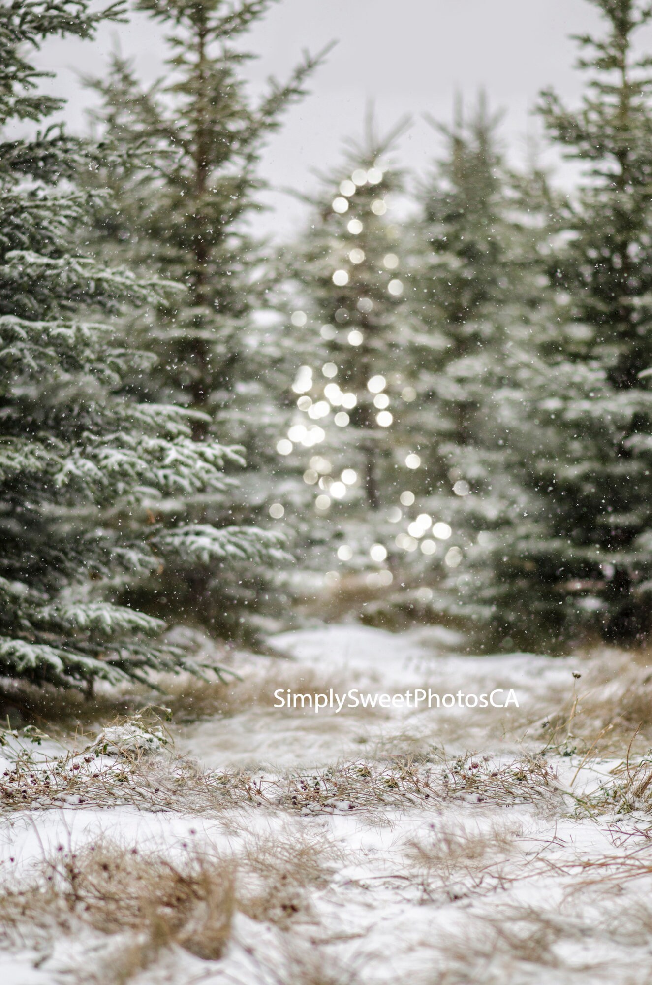 Digital Background Winter Scene Bundle With Free Snowflake | Etsy