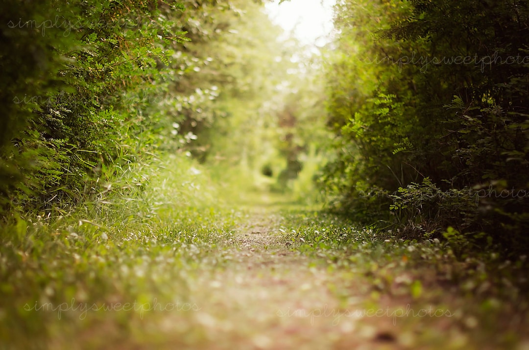 Digital Background Leafy Path - Etsy