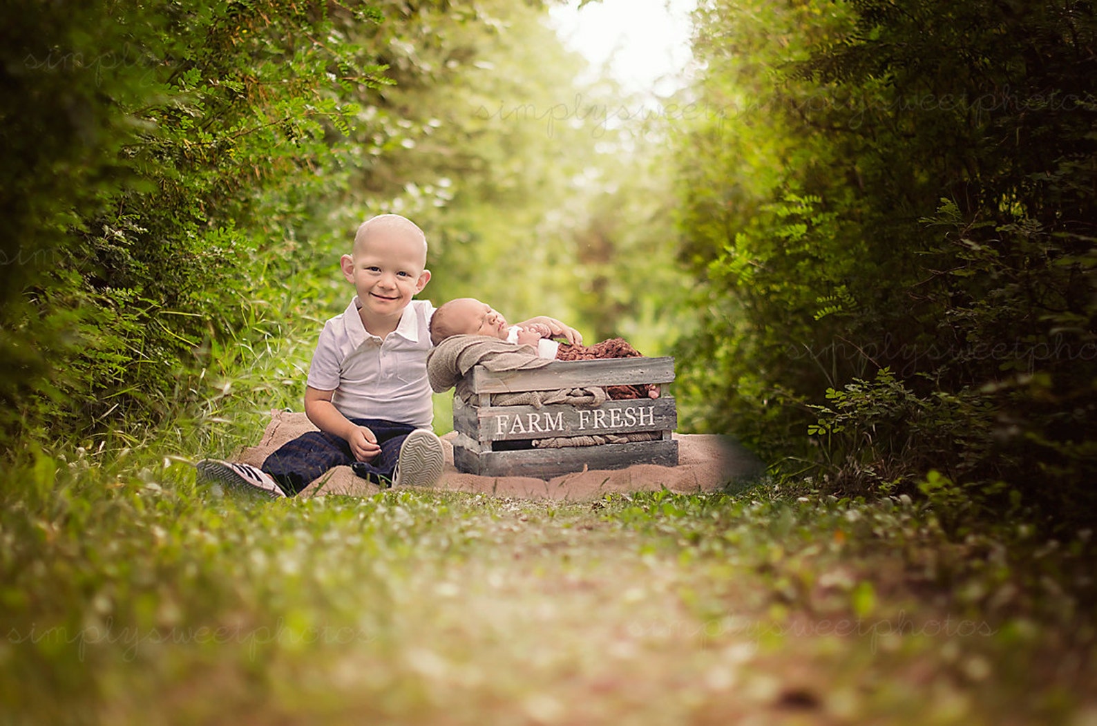 Digital Background Leafy Path - Etsy