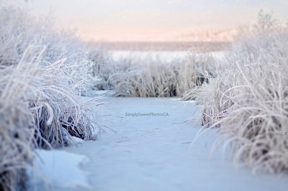 Winter Frost Digital Backdrop With Free Snowflake Action - Etsy