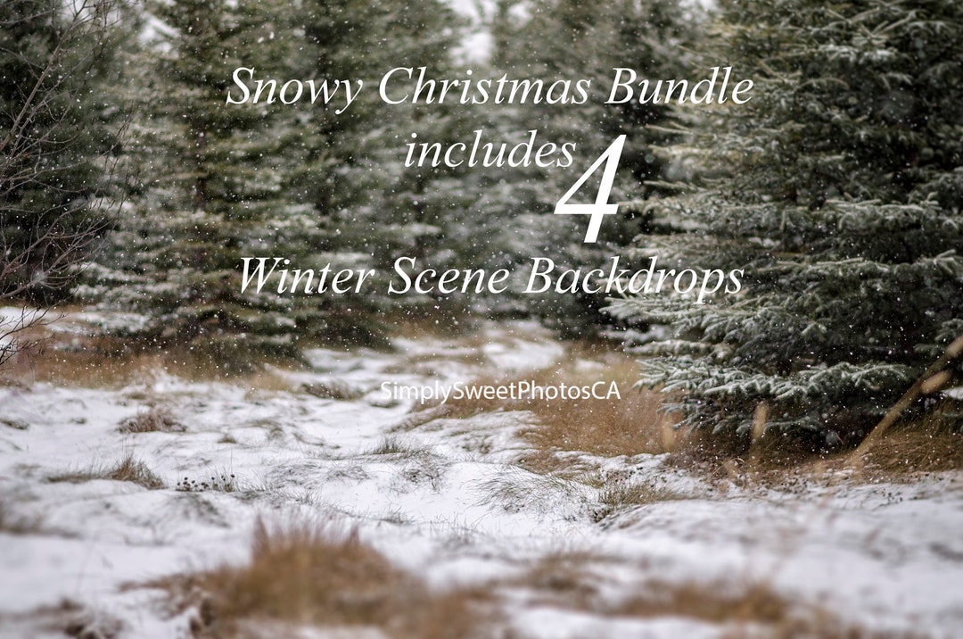 Digital Background Winter Scene Bundle With Free Snowflake Photoshop ...