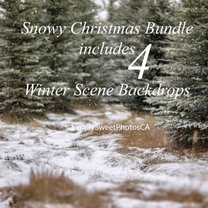 Digital Background Winter Scene Bundle With Free Snowflake Photoshop ...
