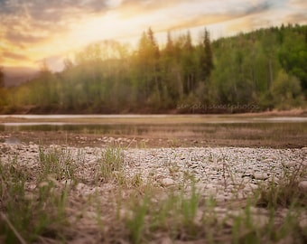 Digital Background Leafy Path | Etsy