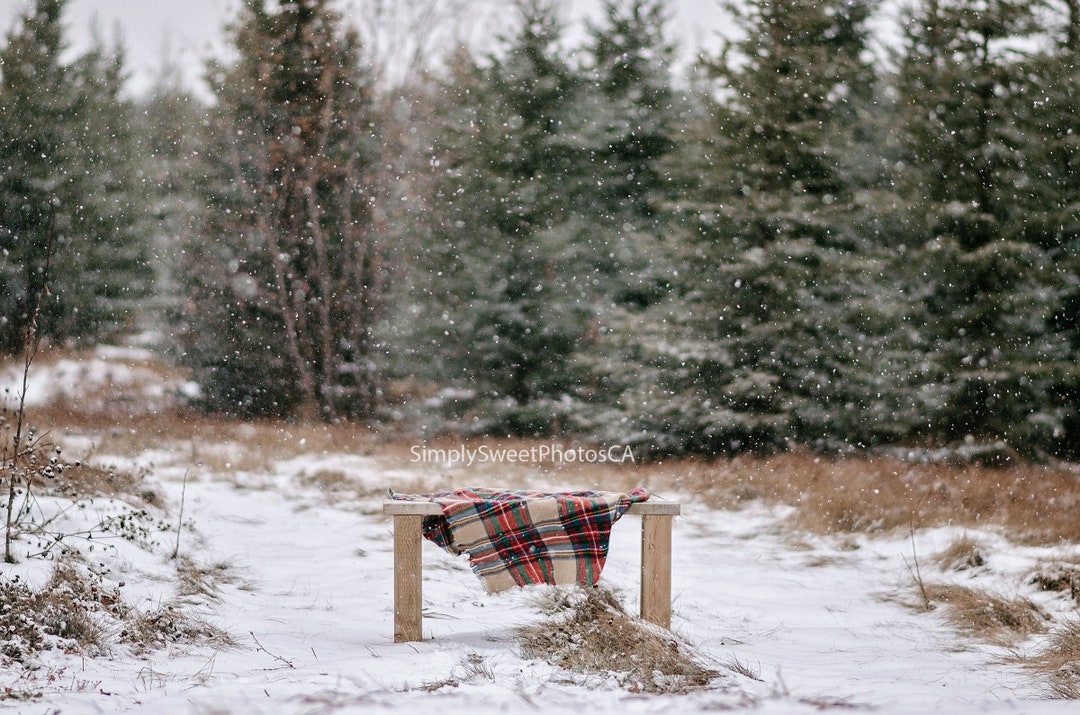 Digital Background Christmas Bench in Snow With Free Snowflake Action ...