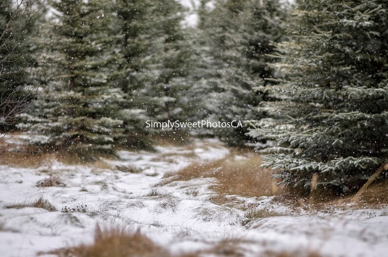 Digital Background Winter Scene Bundle With Free Snowflake - Etsy