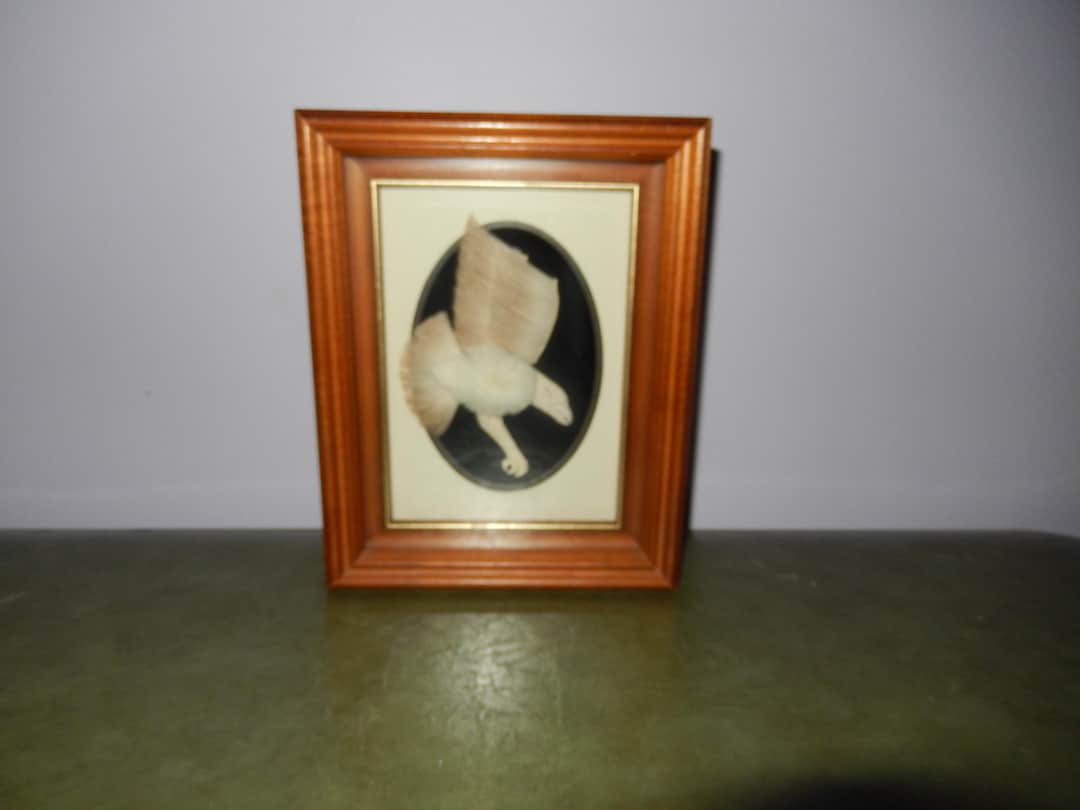 Vintage CARIBOU HAIR EAGLE - Rare Native Tufted Caribou Hair Art Eagle ...