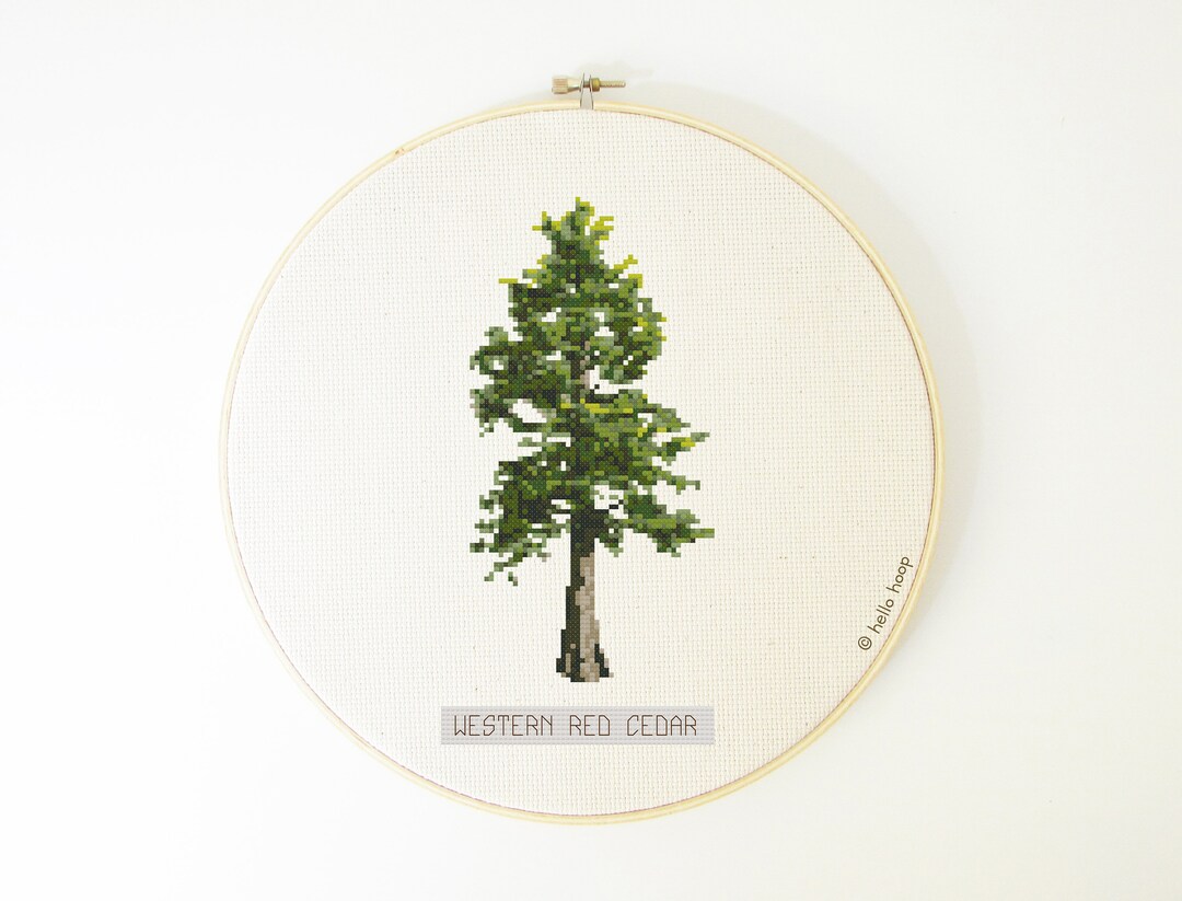 Western Red Cedar Tree Cross Stitch Pattern (PDF) - Etsy