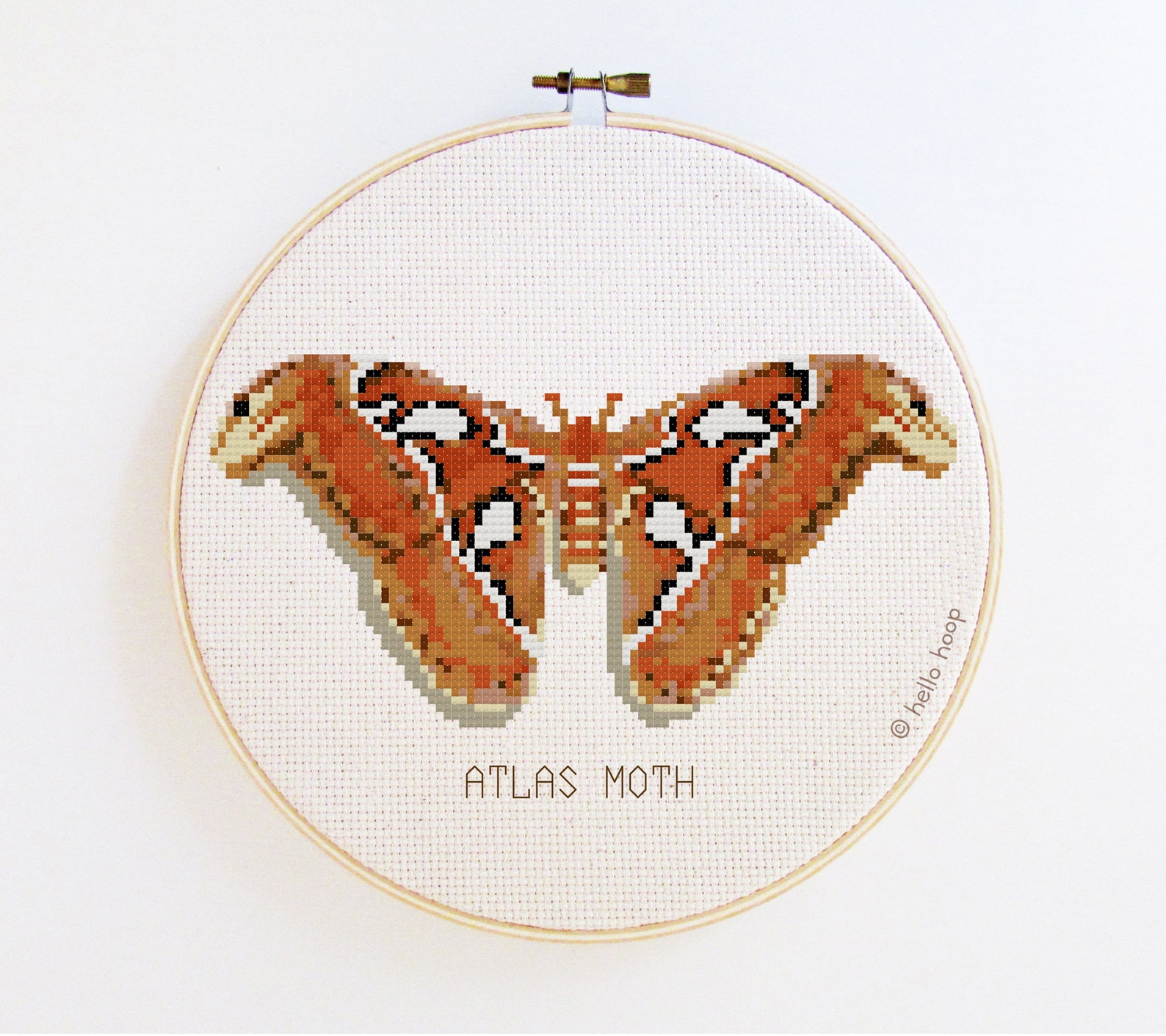 Moth Cross Stitch Pattern Atlas Moth PDF Instant - Etsy