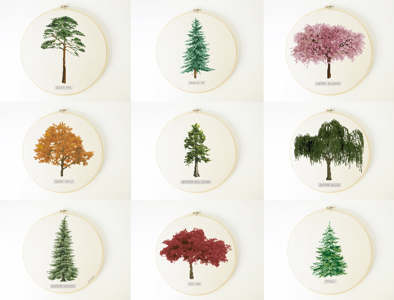 Tree Cross Stitch Pattern Giant Sequoia Botanical Cross | Etsy