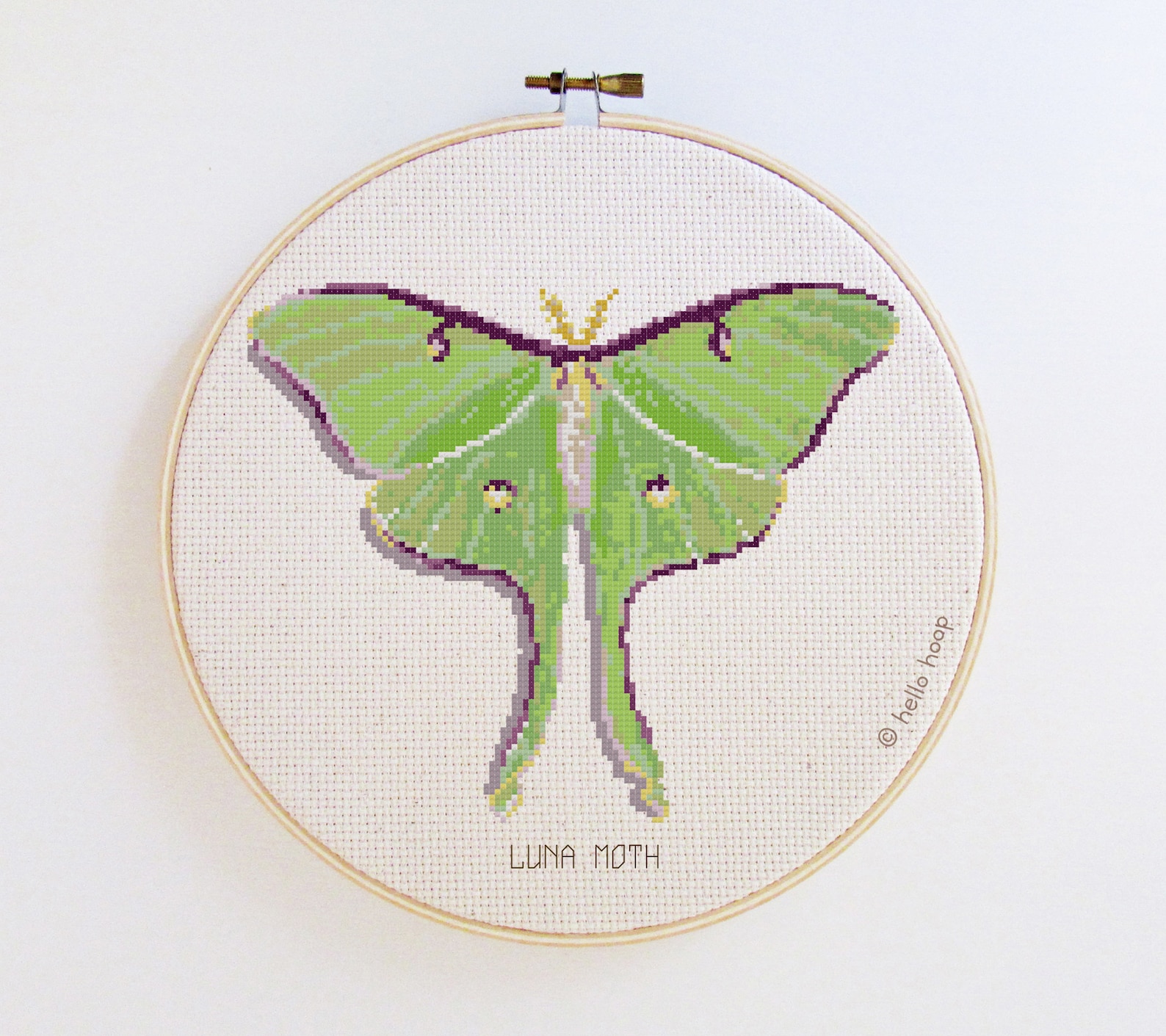 Moth Cross Stitch Pattern Luna Moth PDF Instant Download - Etsy