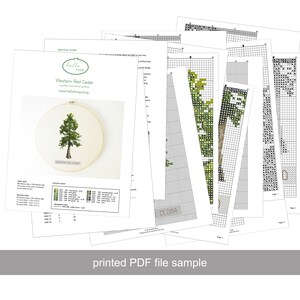 Sugar Maple Tree Cross Stitch Pattern Botanical Cross Stitch - Etsy