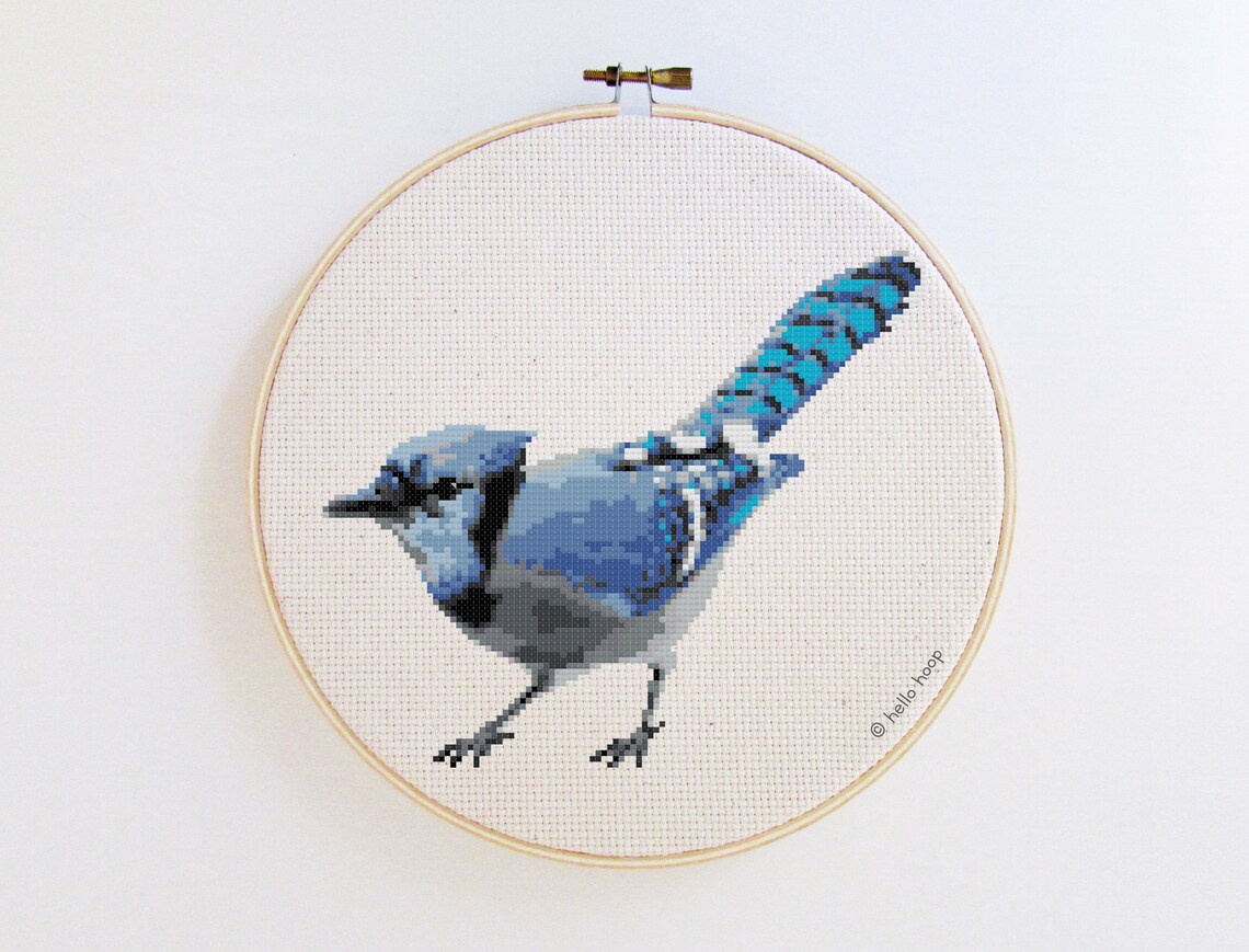 Blue Jay Cross Stitch Pattern Birds Embroidery PDF | Etsy