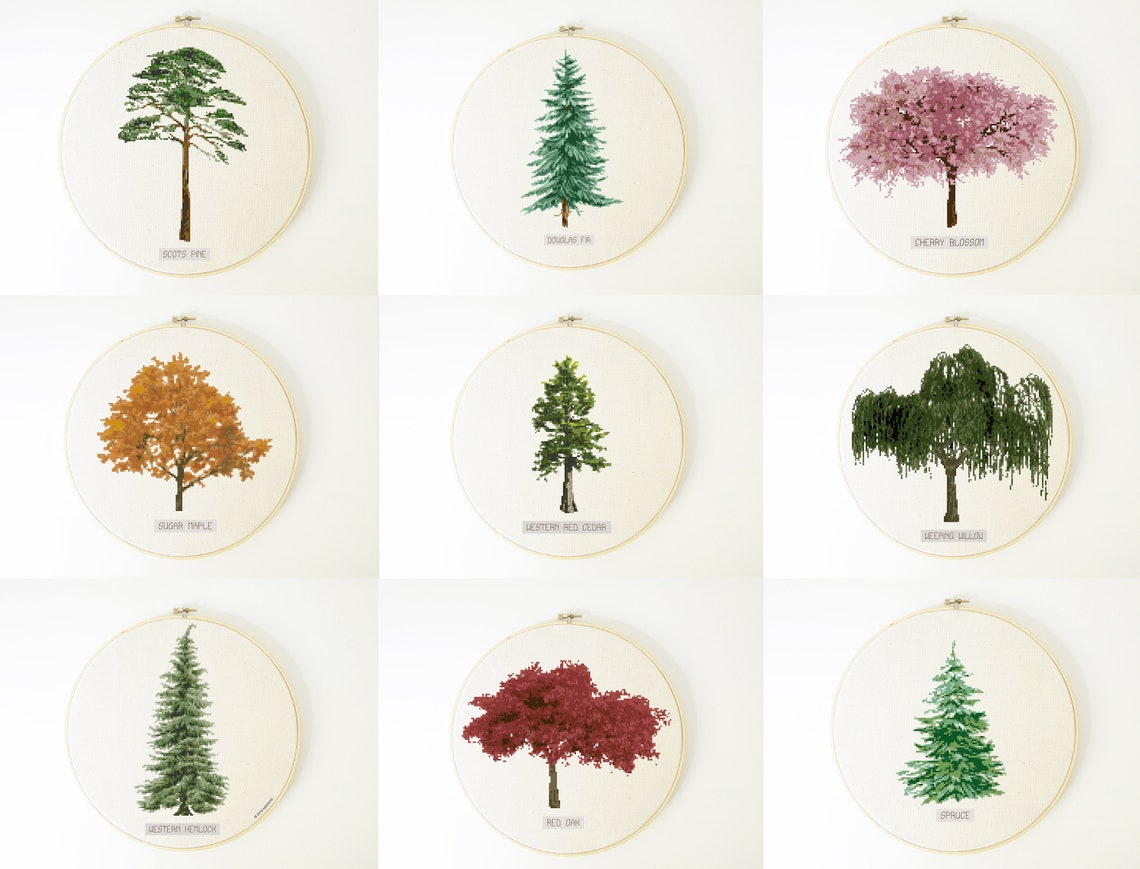 Sugar Maple Tree Cross Stitch Pattern Botanical Cross Stitch - Etsy