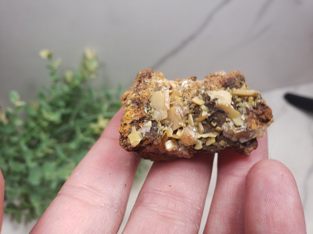 Wulfenite Mimetite Crystal Mineral Specimen Mexico Crystal Collection ...