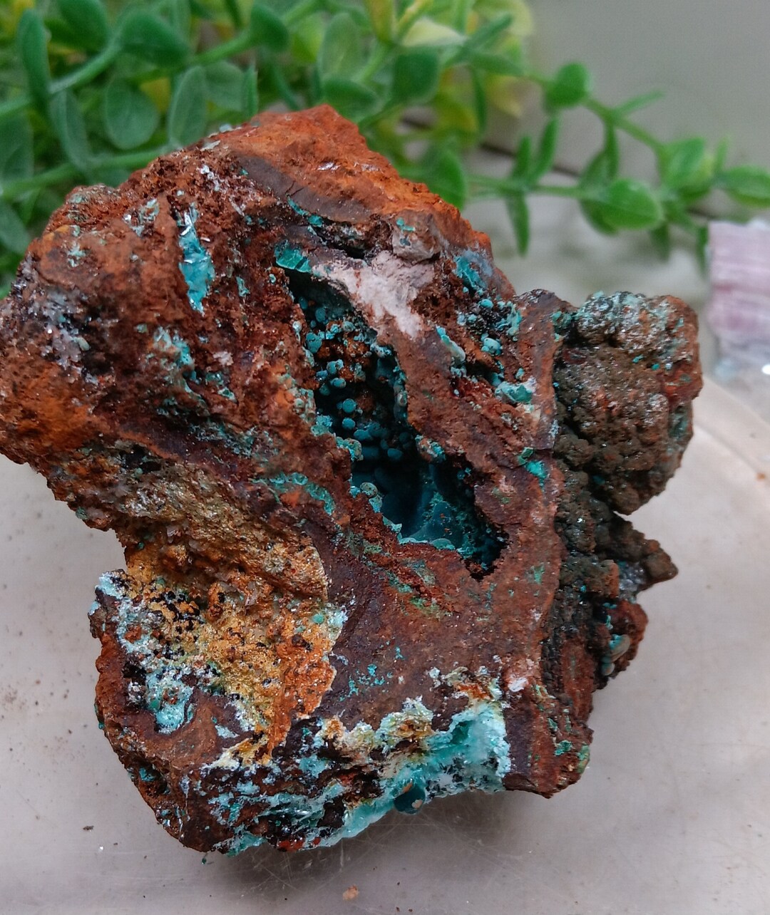 Aurichalcite Crystals on Limonite Matrix Mapimi Mine Durango Mexico R5 ...