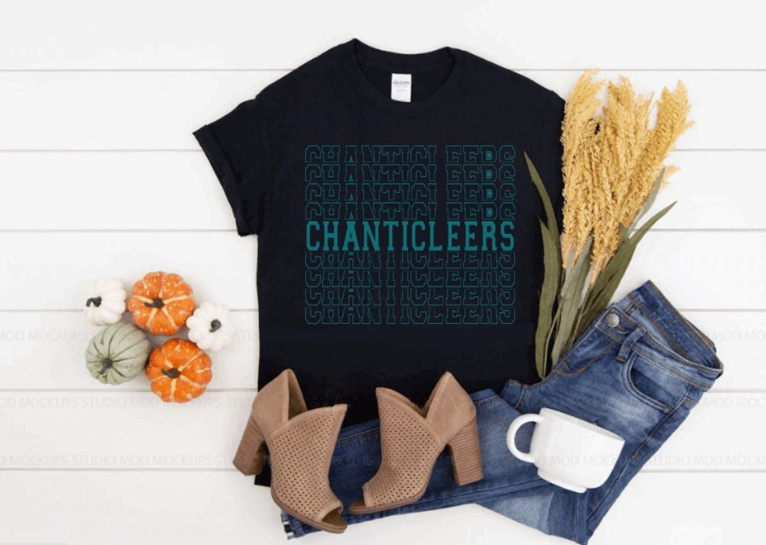 Coastal Carolina Chanticleers School Spirit Retro T-shirt , Coastal ...