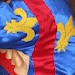 Medieval Heraldic Surcoat With Hand Embroidery and Long Trail - Etsy