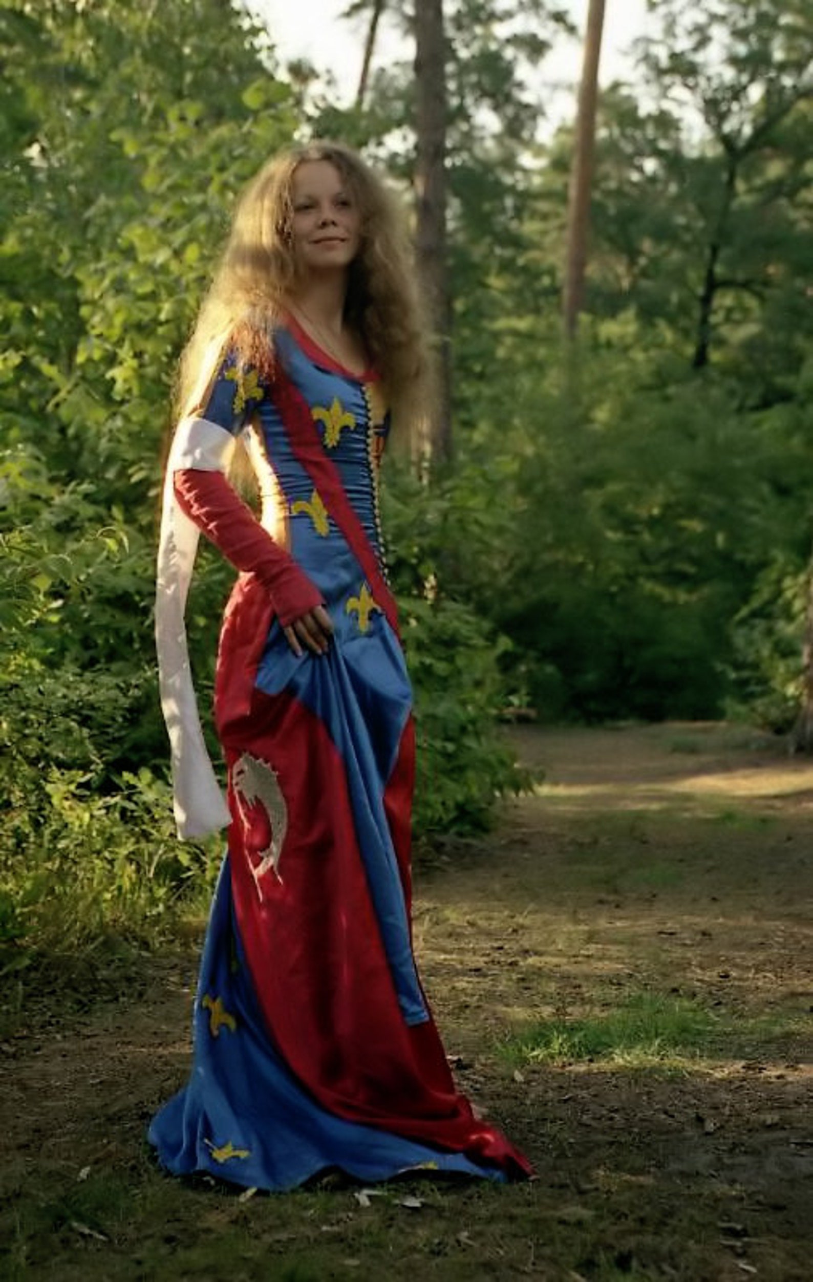 Medieval Heraldic Surcoat With Hand Embroidery and Long Trail | Etsy