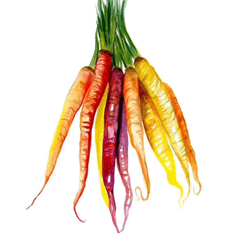 Carrot Art Print - Etsy