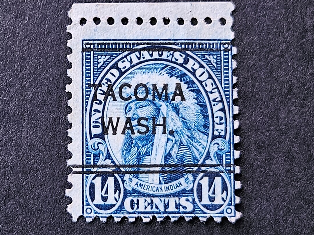 1931 American Indian 14 Cent Postage Stamp Scott 695 Tacoma Wash ...