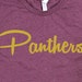 Panthers Svg, Panthers Pride Svg, Panthers Fan Svg, Panthers Wording ...