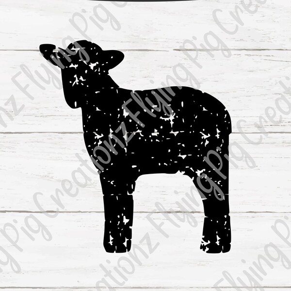 Show Lamb Clip Art - Etsy