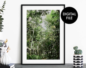 Australian Rainforest Landscape #3 Digital Print - Etsy