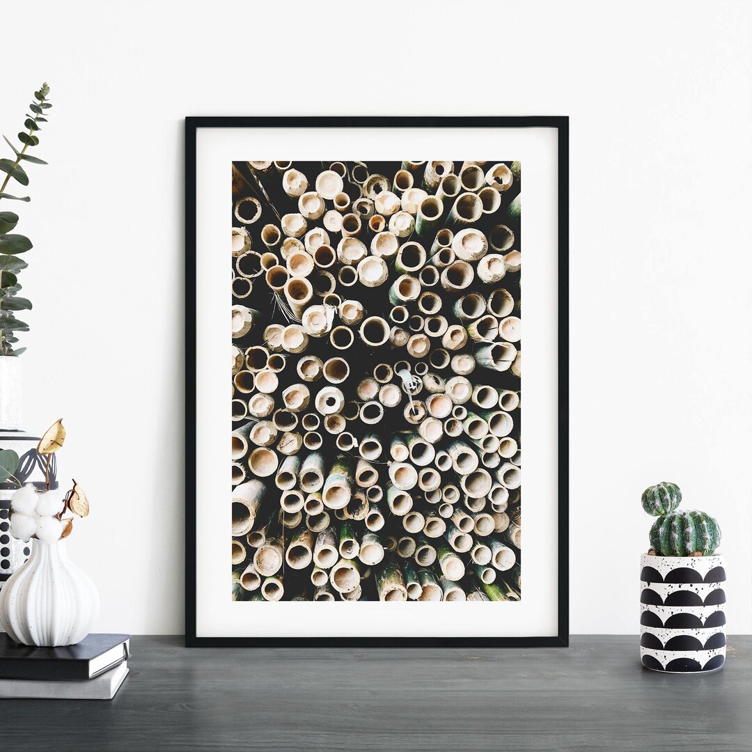 Bamboo Photographic Print Wall Art | A4 A3 A2 A1 - Etsy Australia