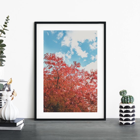 Autumn Leaves Print Wall Art A4 A3 A2 A1 - Etsy