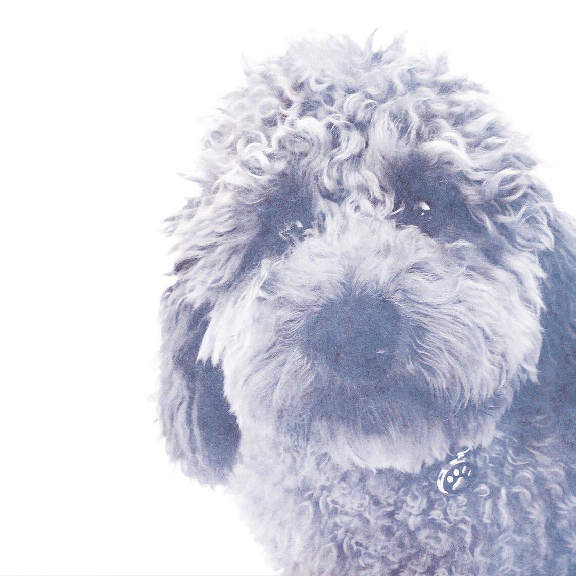 Cavoodle Poodle Puppy Watercolour Print Wall Art 4x6 5x7 A4 - Etsy