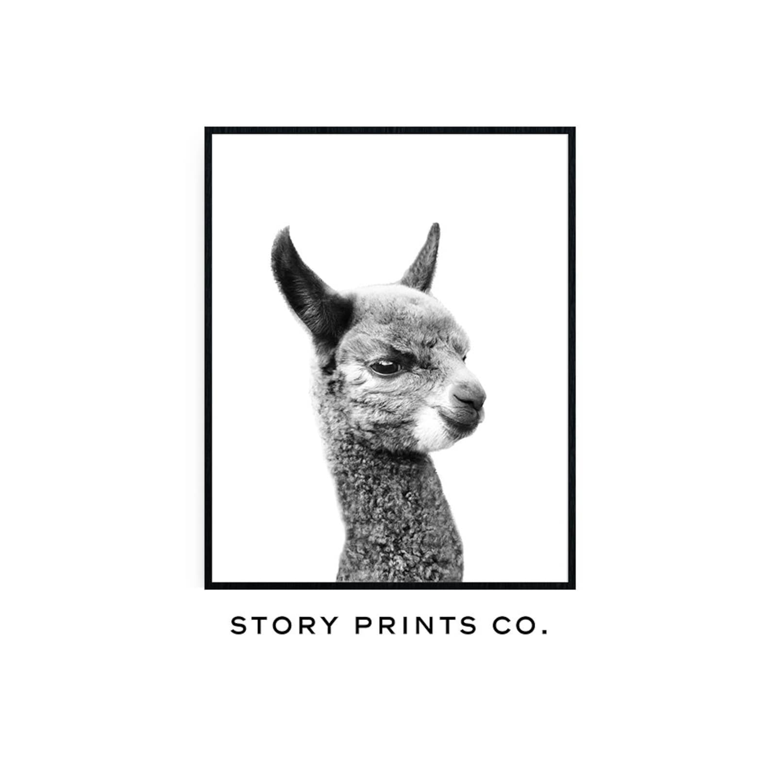 Alpaca Print, Llama Print, Llama Black and White Nursery Decor, Llama ...