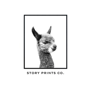 Alpaca Print, Llama Print, Llama Black and White Nursery Decor, Llama ...
