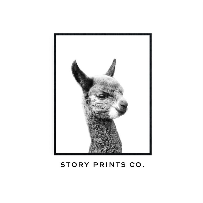 Alpaca Print Llama Print Llama Black and White Nursery - Etsy