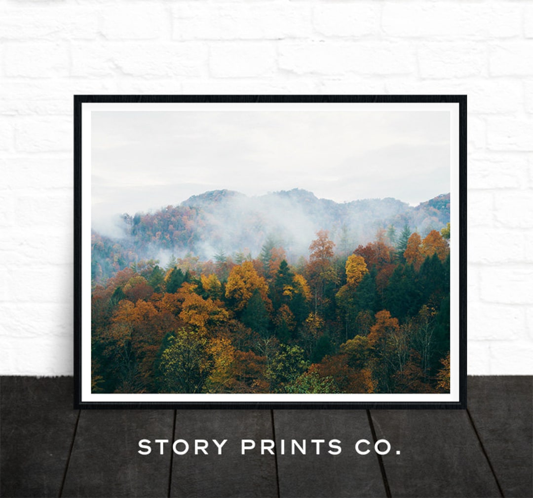 Nature Prints, Forest Wall Art, Forest Art, Forest Photo Prints, Nature ...