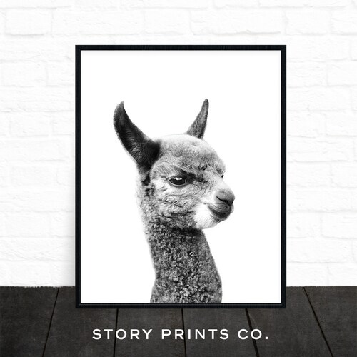 Alpaca Print Llama Print Llama Black and White Nursery - Etsy
