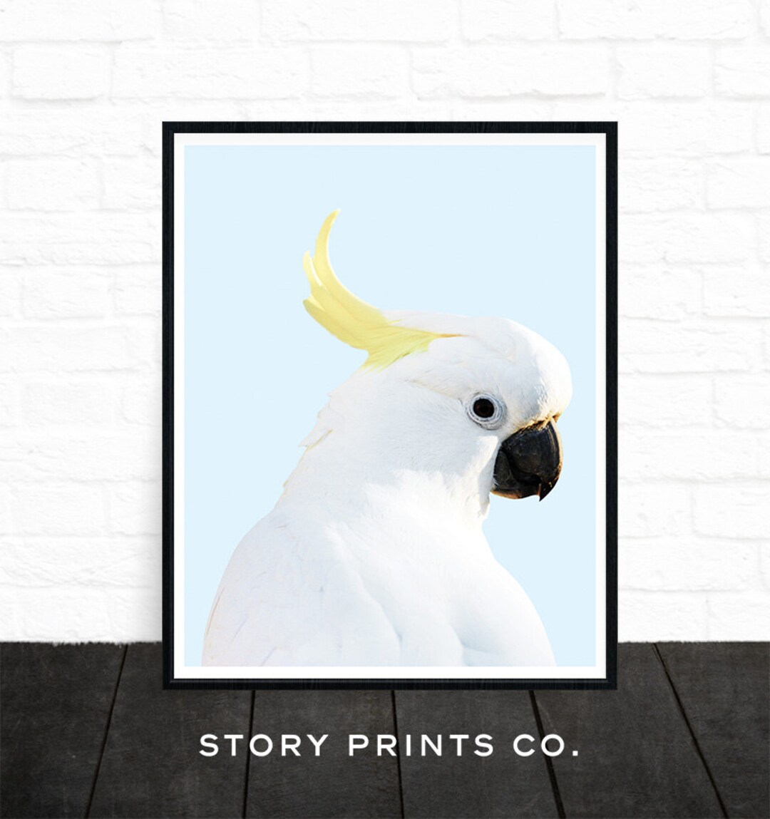 Cockatoo Print, Bird Print, Bird Photo, Animal Portrait, Nursery Art ...