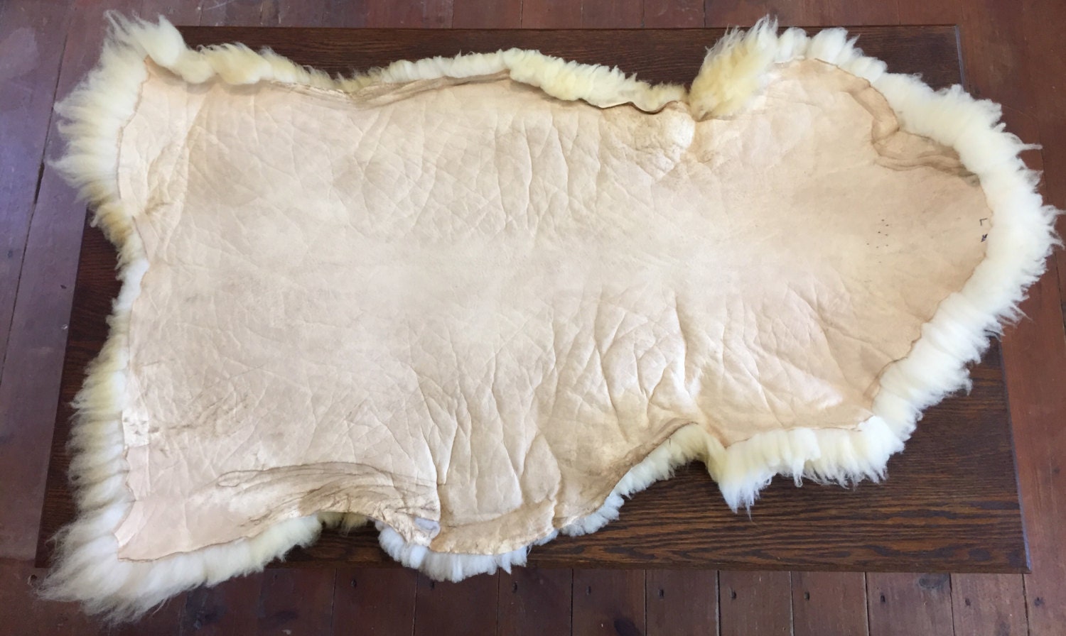 Sheep Pelt/skin Rug - Etsy