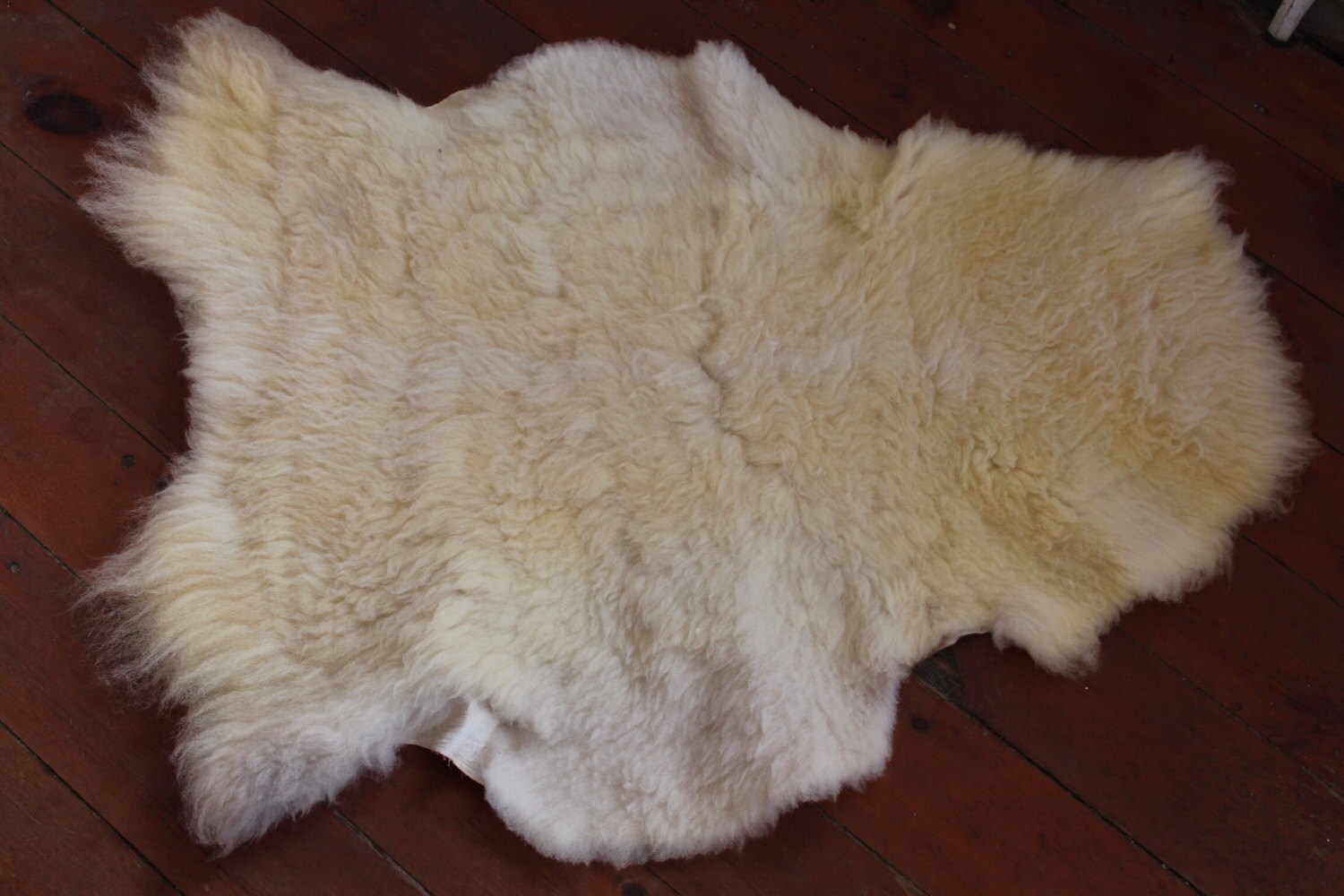 Sheep Pelt/skin Rug - Etsy