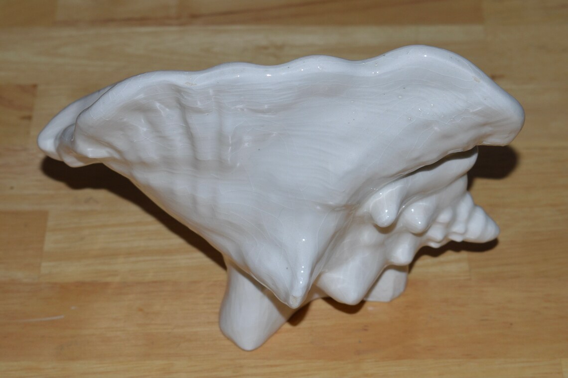 Seashell Planter White Conch Shell Shaped Planter Decorative | Etsy