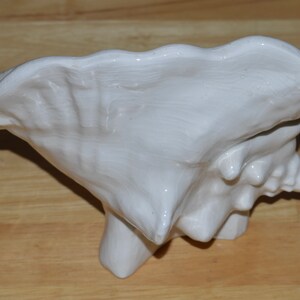 Seashell Planter, White Conch Shell Shaped Planter, Decorative Shell ...