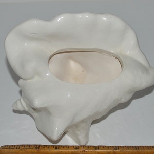 Seashell Planter, White Conch Shell Shaped Planter, Decorative Shell ...
