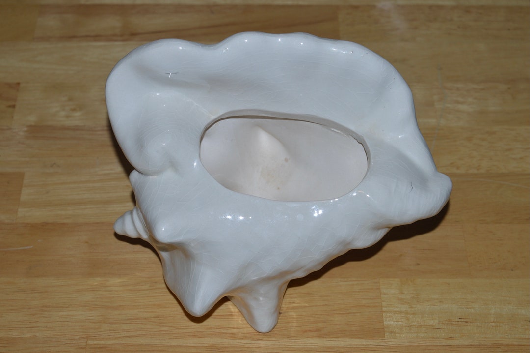 Seashell Planter, White Conch Shell Shaped Planter, Decorative Shell ...