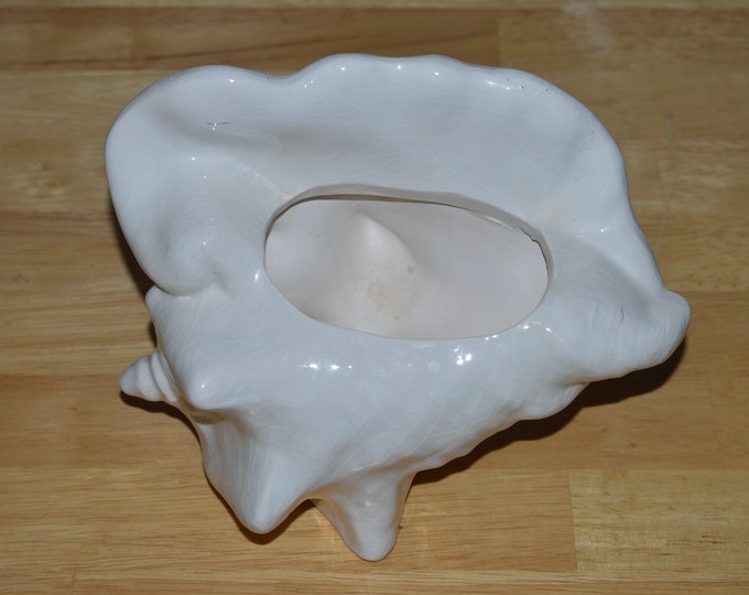 Seashell Planter, White Conch Shell Shaped Planter, Decorative Shell ...