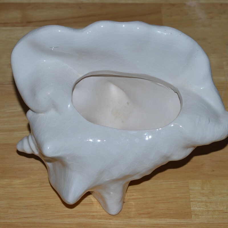 Conch Shell Planter - Etsy