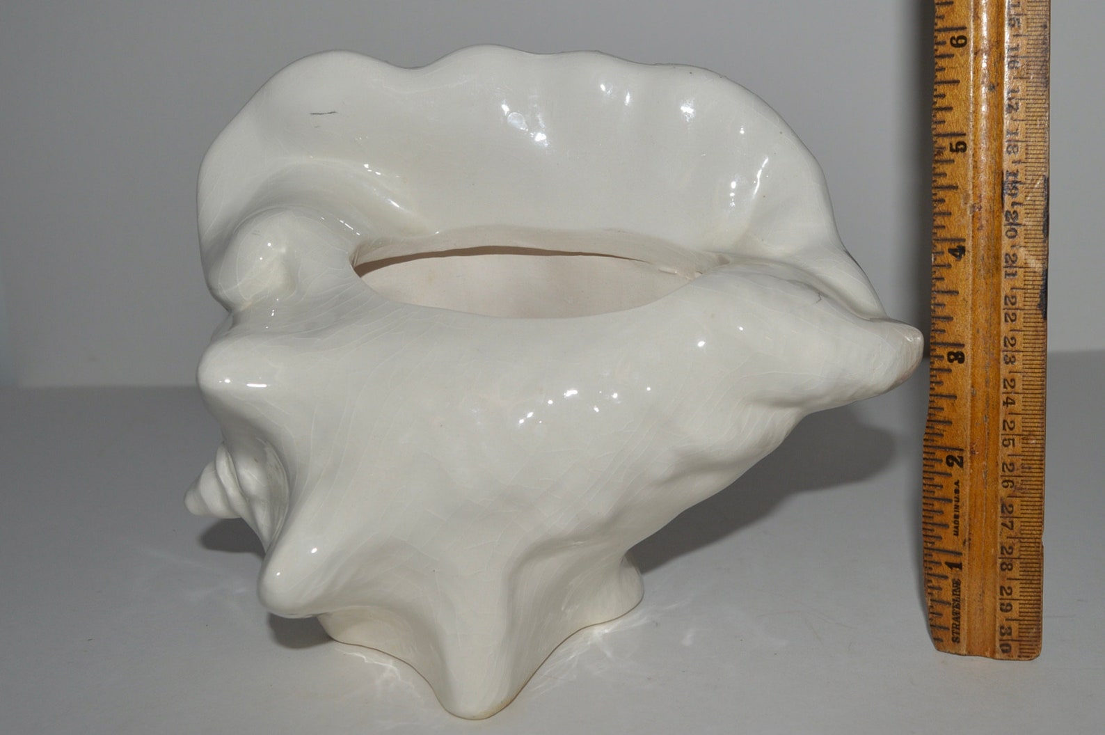 Seashell Planter White Conch Shell Shaped Planter Decorative | Etsy