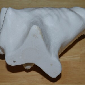 Seashell Planter, White Conch Shell Shaped Planter, Decorative Shell ...