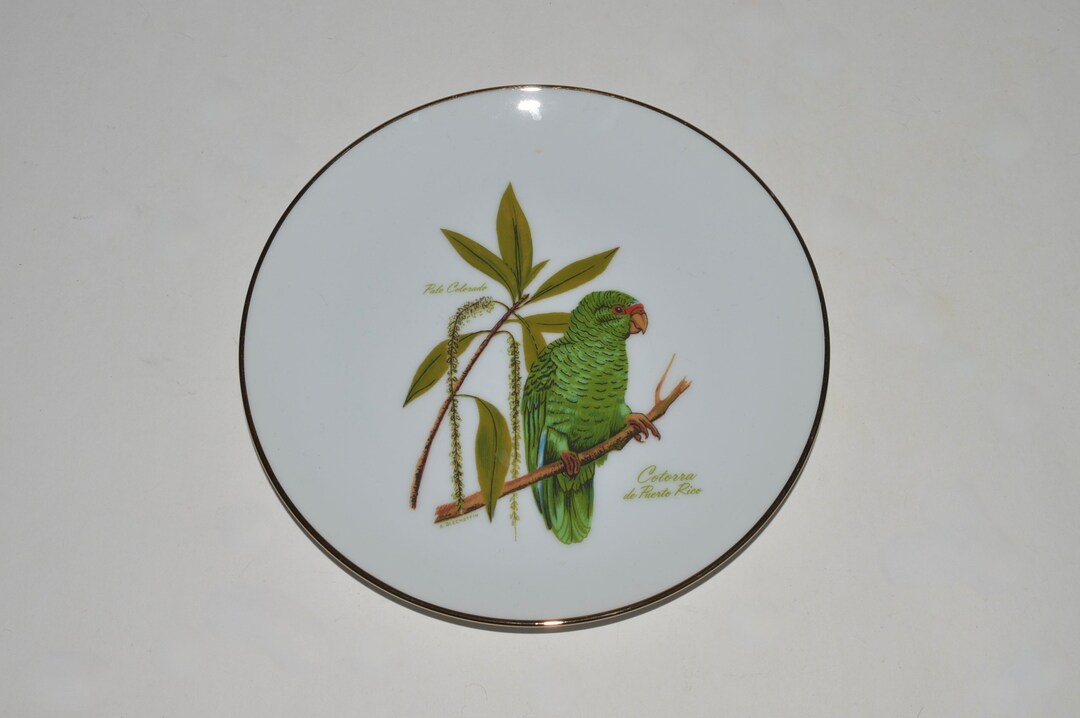 Vintage Parrot Collector Plate Pajaritos Autoctonos De Puerto Rico ...