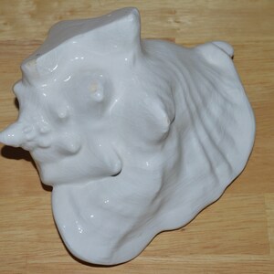 Seashell Planter, White Conch Shell Shaped Planter, Decorative Shell ...