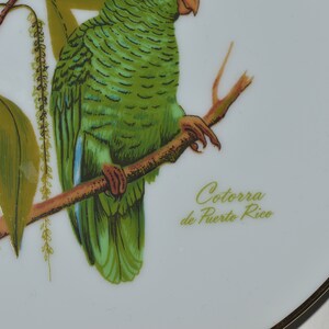 Vintage Parrot Collector Plate Pajaritos Autoctonos De Puerto Rico ...